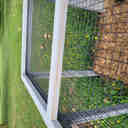 Tucker Murphy Pet™ Garvin Chicken Run & Reviews | Wayfair