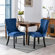 Mercer41 Demarco Deluna Luxury Velvet Upholstered Kitchen Dining Chairs ...