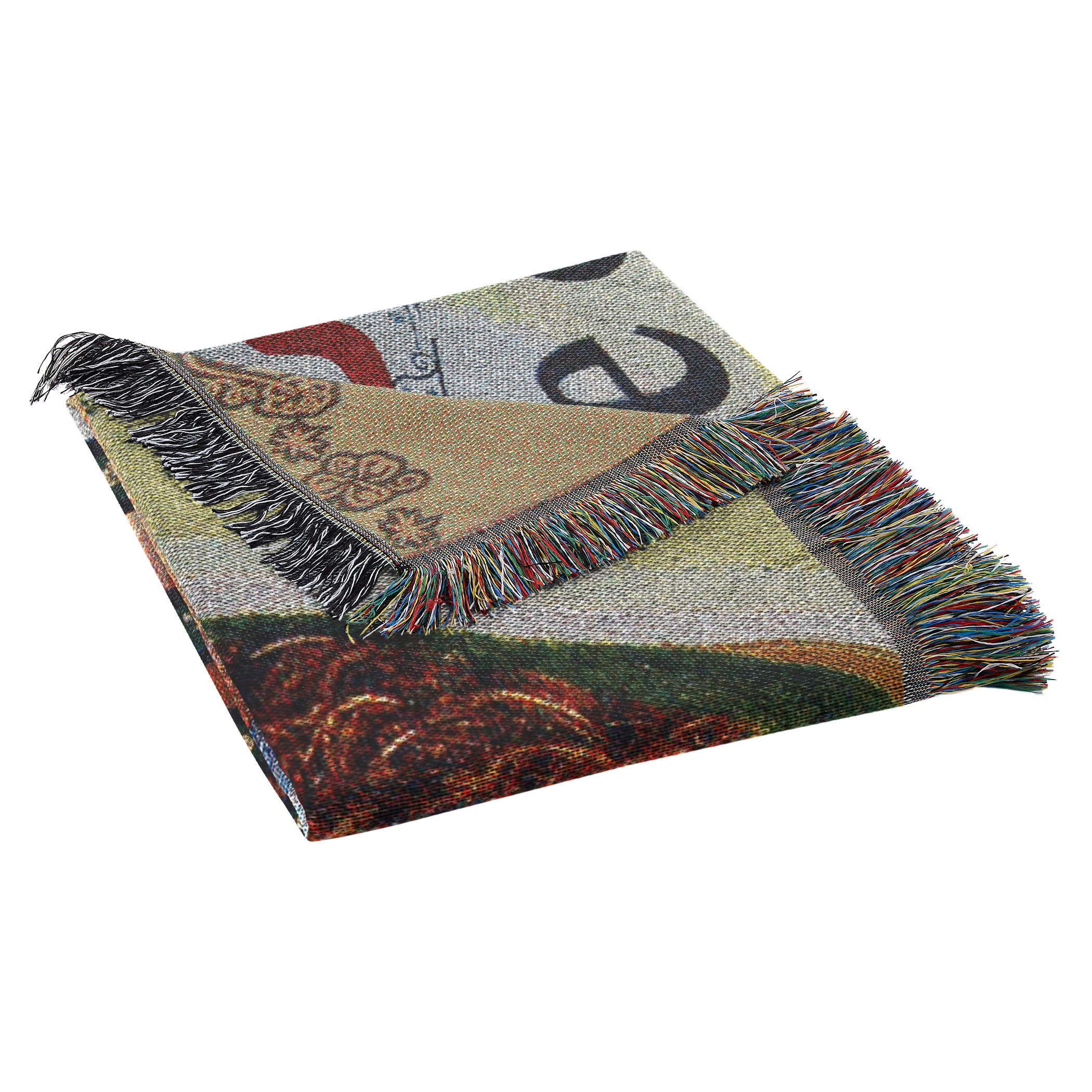 Northwest Warner Bros. Elf Throw Blanket, Elffin Holiday Movie Fan ...