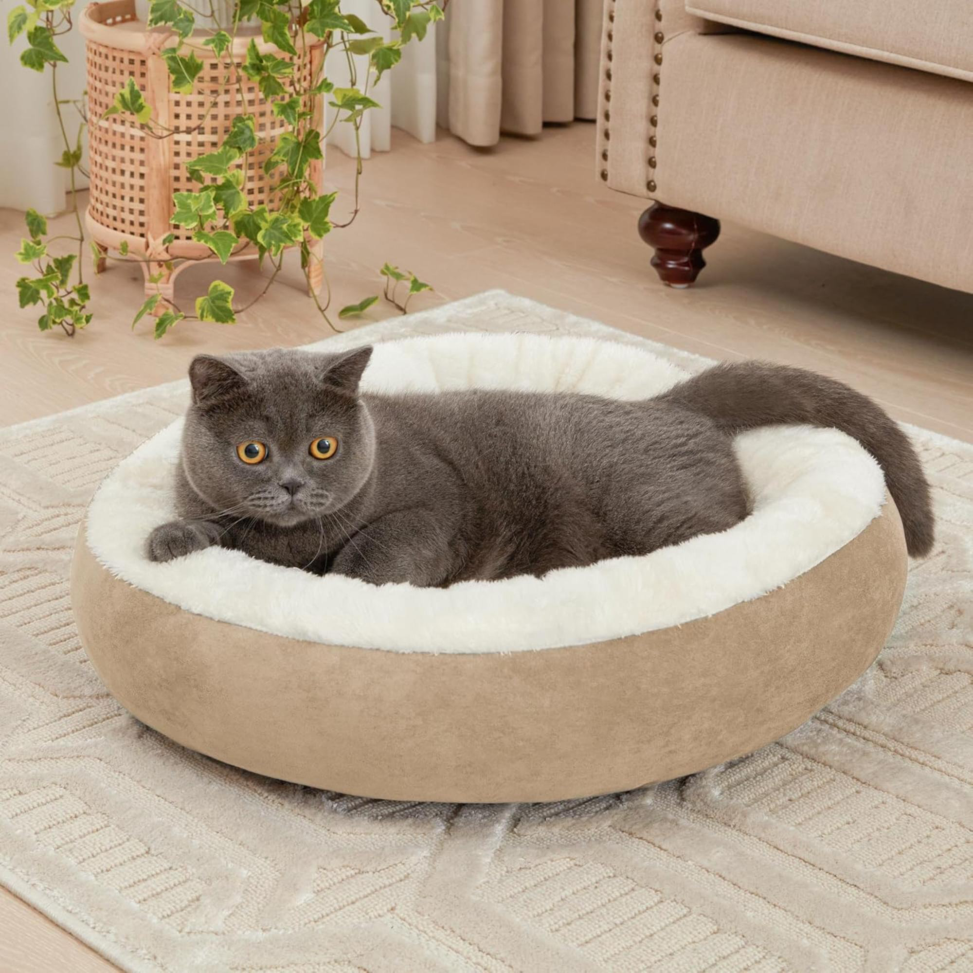 Archie & Oscar™ Round Donut Cat And Dog Cushion Bed, Pet Bed For Cats ...