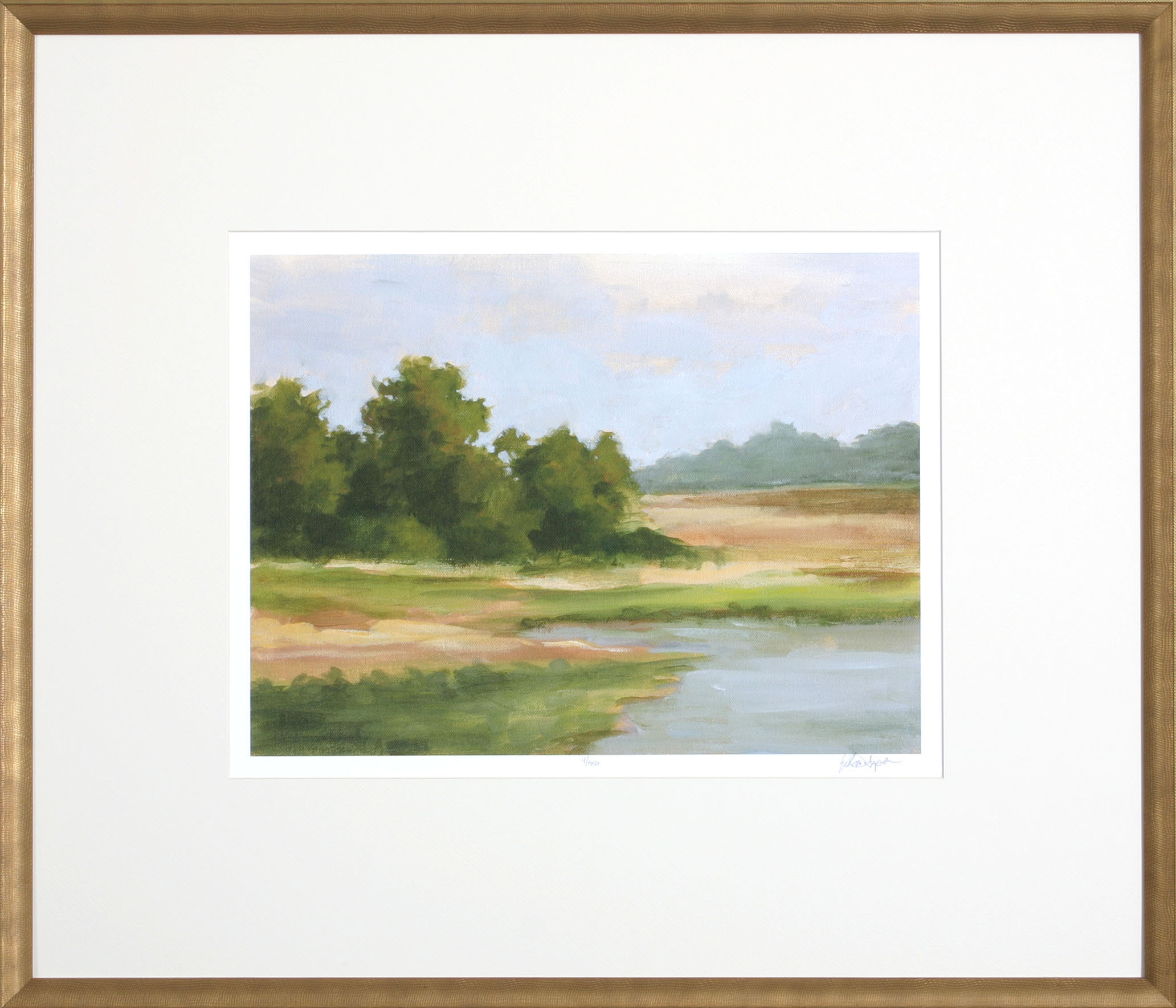 Shadow Catchers 'Spring Light I' by Harper Framed Print | Perigold