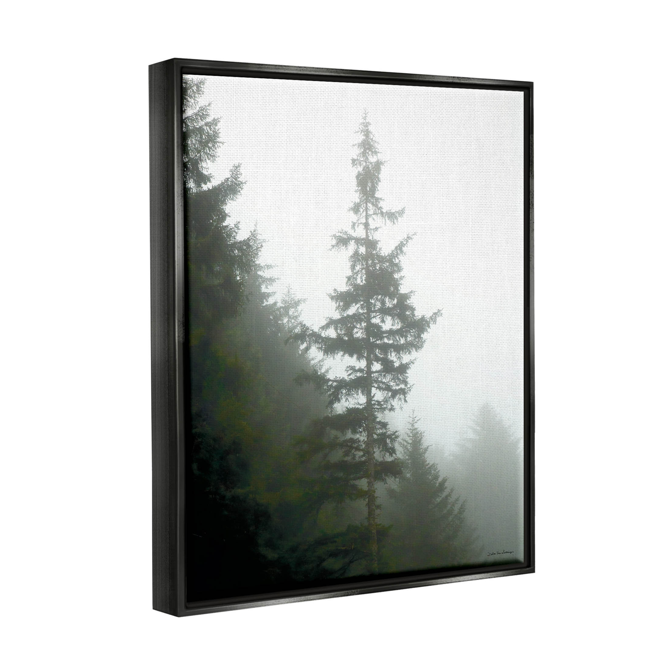 Millwood Pines Majestic Pine Foggy Forest by Debra Van Swearingen ...