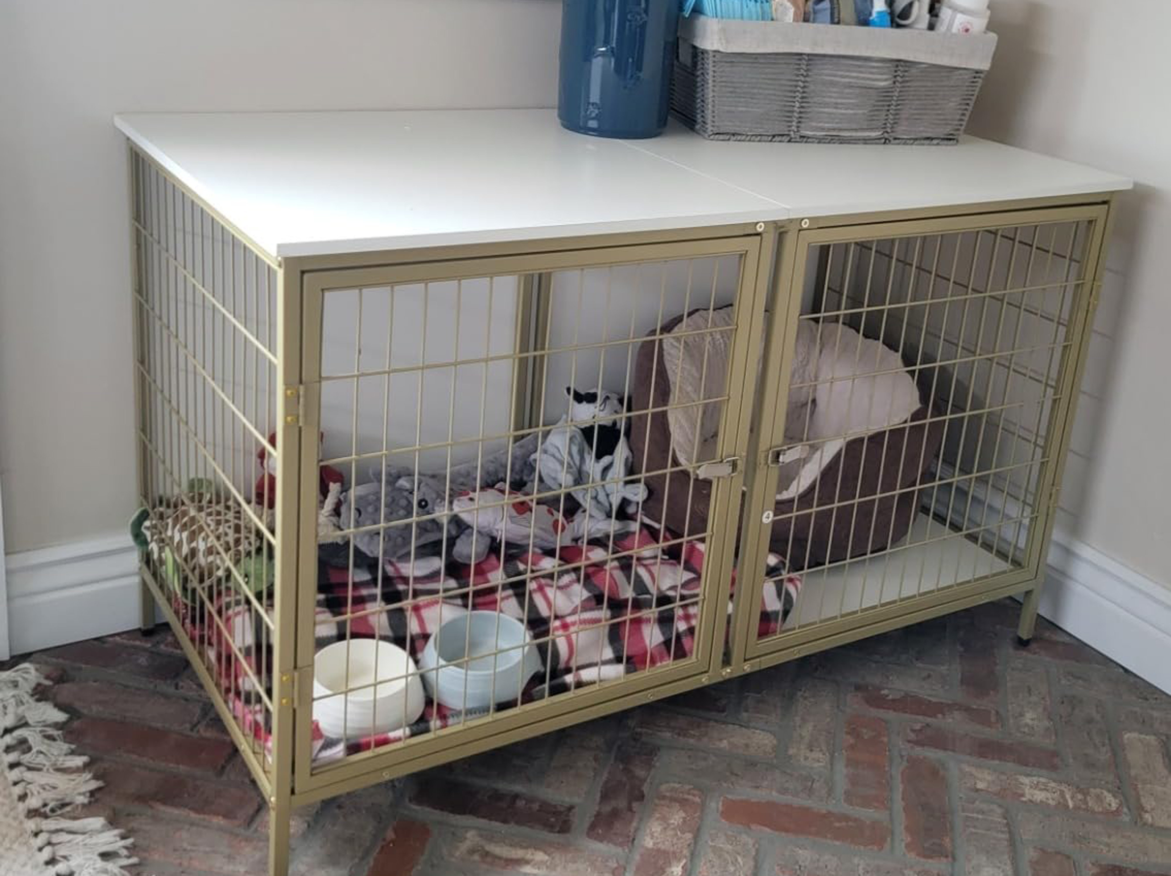 XY Dog Crate | Wayfair