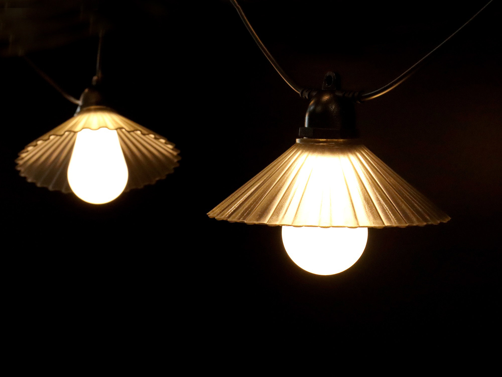 Winston Porter Raegen Outdoor 10 - Bulb 192'' Plug-in String Light ...