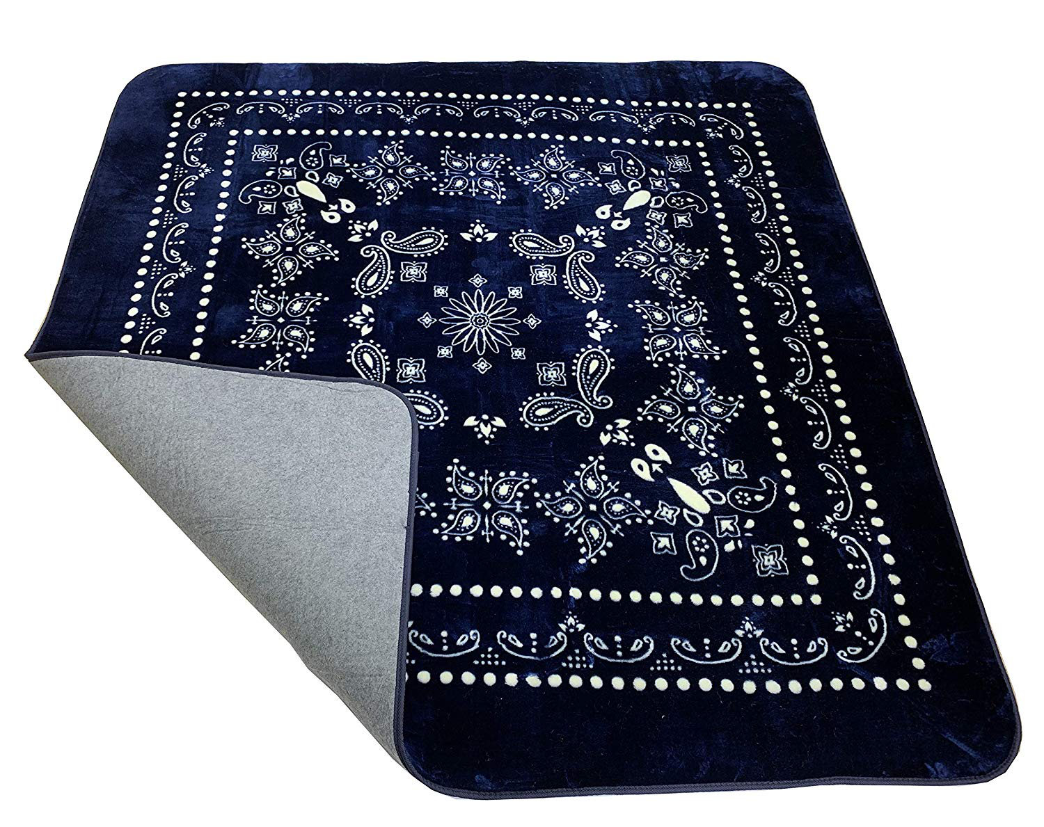 Millwood Pines Camdenton Soft Touch Blanket Area Rug Oriental Paisley ...