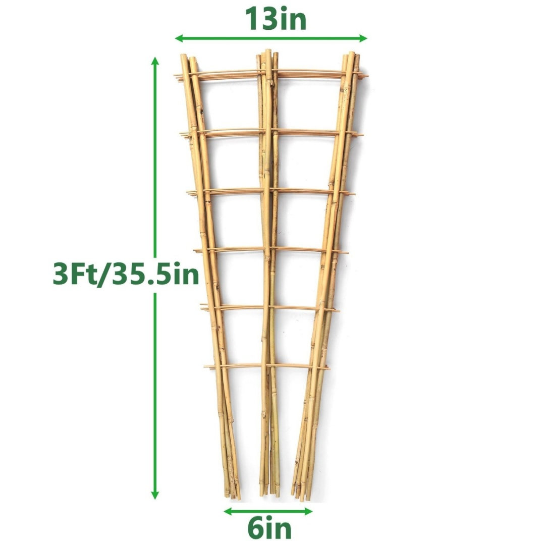Ophelia & Co. 10 Pack 3 Feet Natural Bamboo Trellis, Fan-Shaped Bamboo ...
