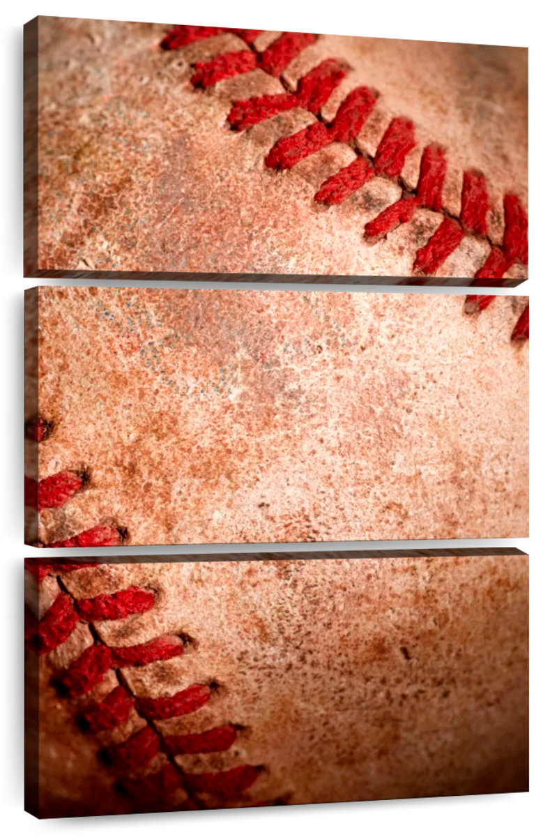 Elephant Stock Dirty Baseball Ball | Wayfair