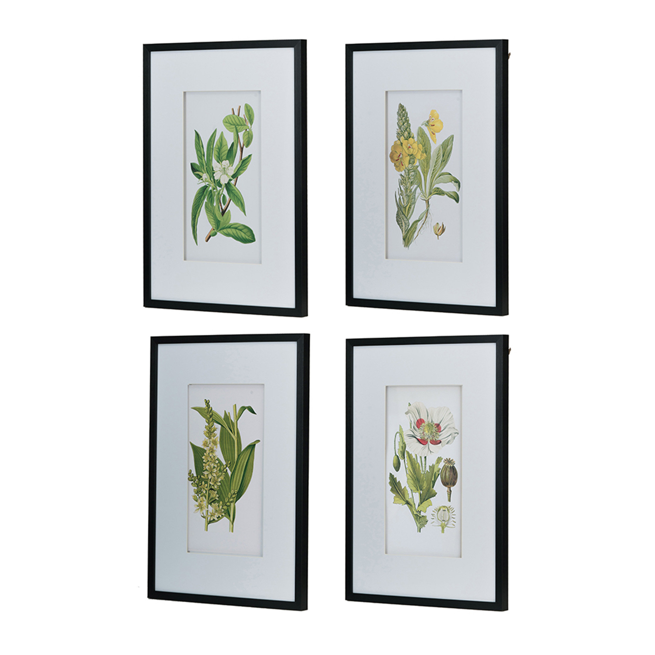 Red Barrel Studio® Set Of 4 Botanical Flower Wall Art, Home Decor For ...