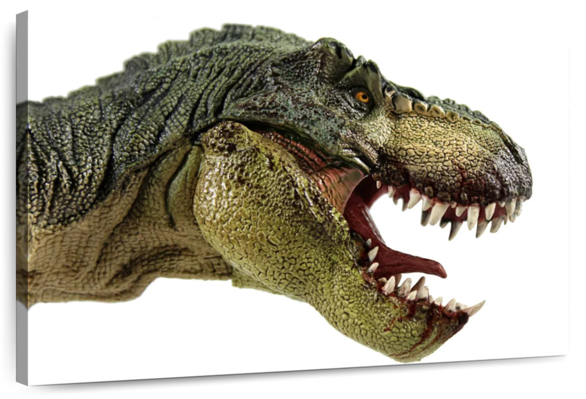 Ebern Designs Crowle T-Rex Roar - Wayfair Canada