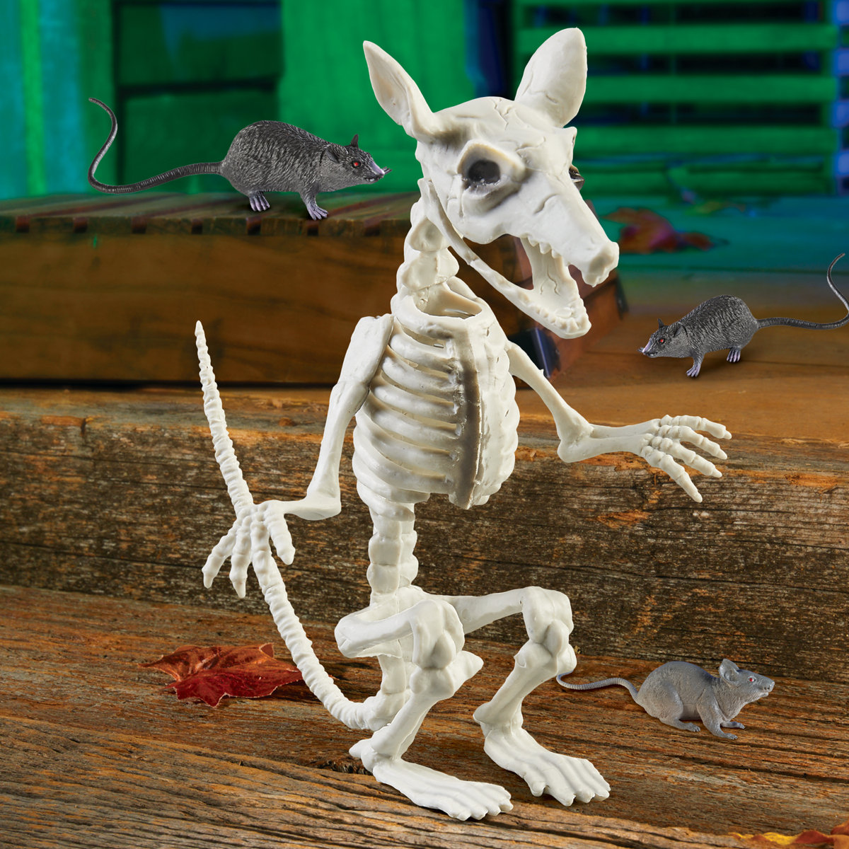 Winston Brands Rat Skeleton Halloween Decoration with Adjustable Mouth ...