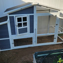 Archie & Oscar™ Flitwick 81” Large Chicken Coop with Chicken Run ...