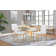Willa Arlo Interiors Derik Glass Top Metal Base Dining Table & Reviews ...