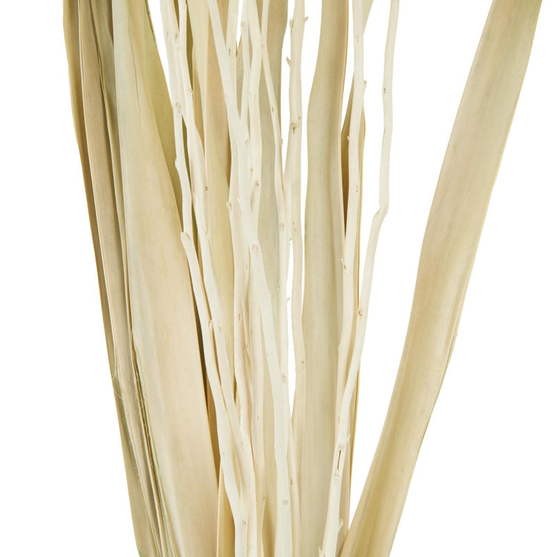 Primrue Eloise Cole And Grey Dried Plant Tall Natural Foliage With ...