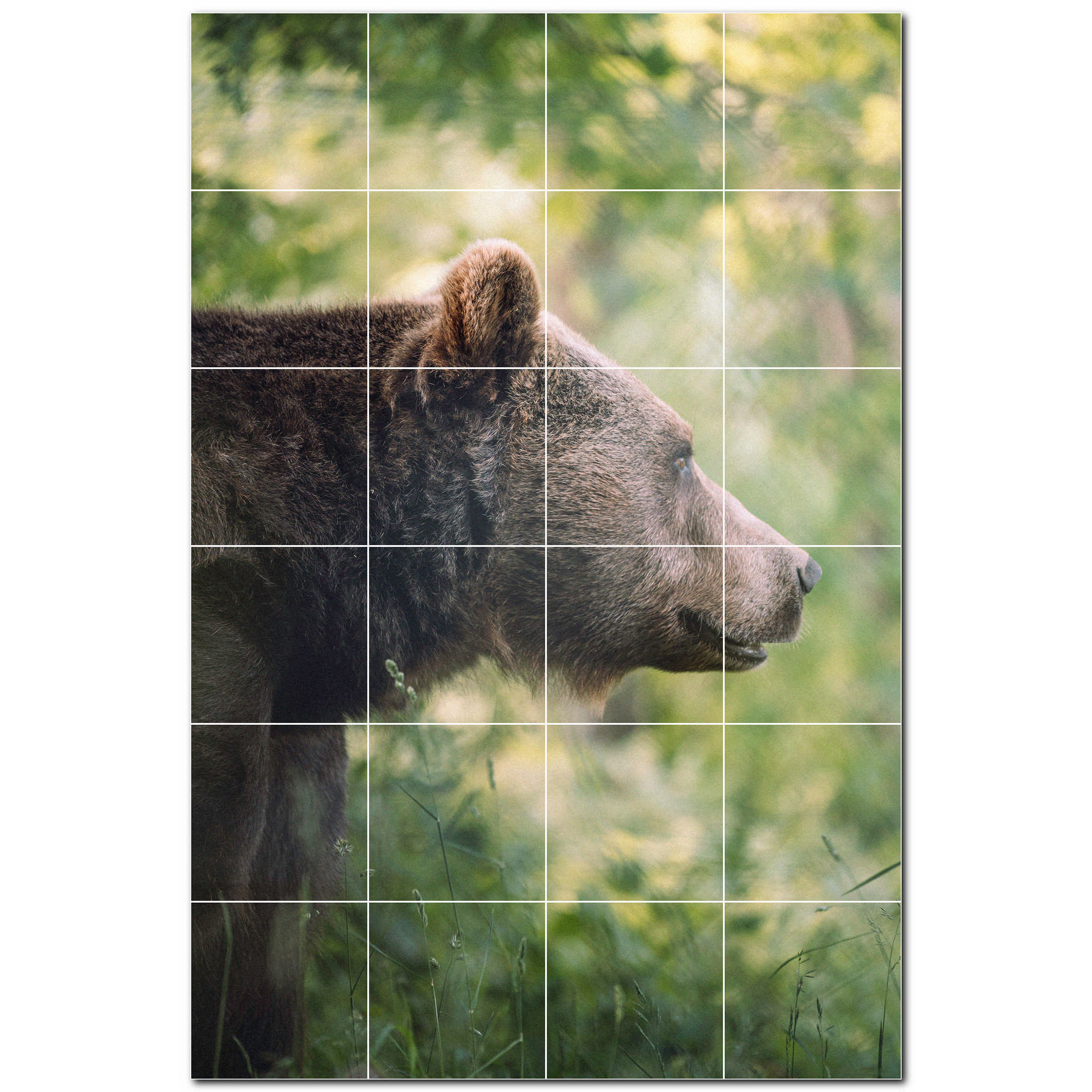 Picture-Tiles.com Bear Photo 6'' x 6'' Satin Ceramic Decorative Mural ...