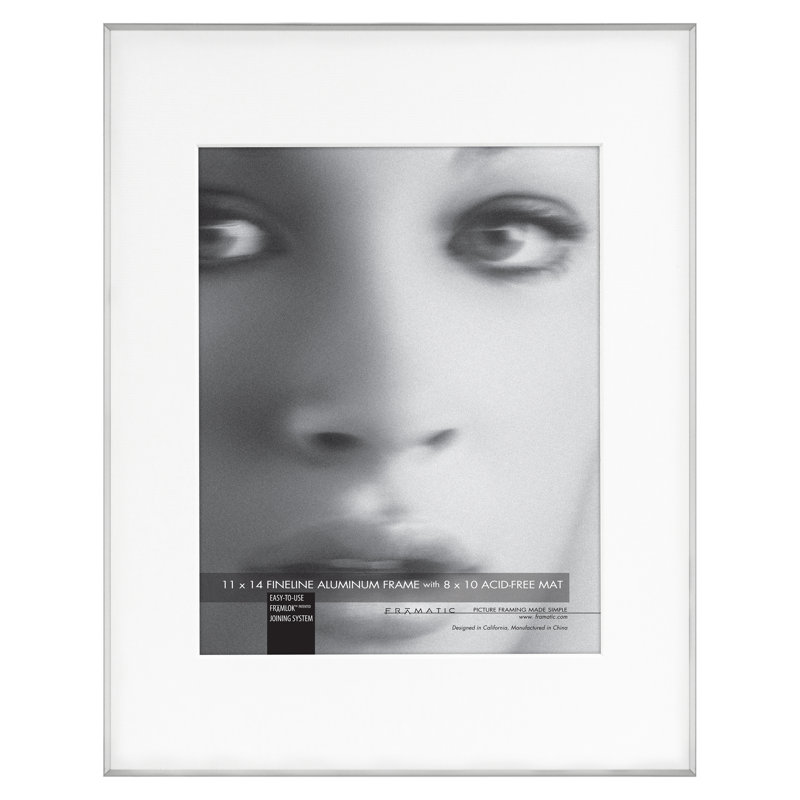 Framatic Fineline Metal Picture Frame & Reviews | Wayfair