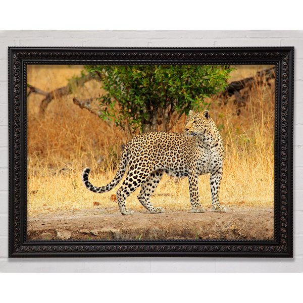 Bright Star Leopard Watch - Single Picture Frame Art Prints | Wayfair.co.uk