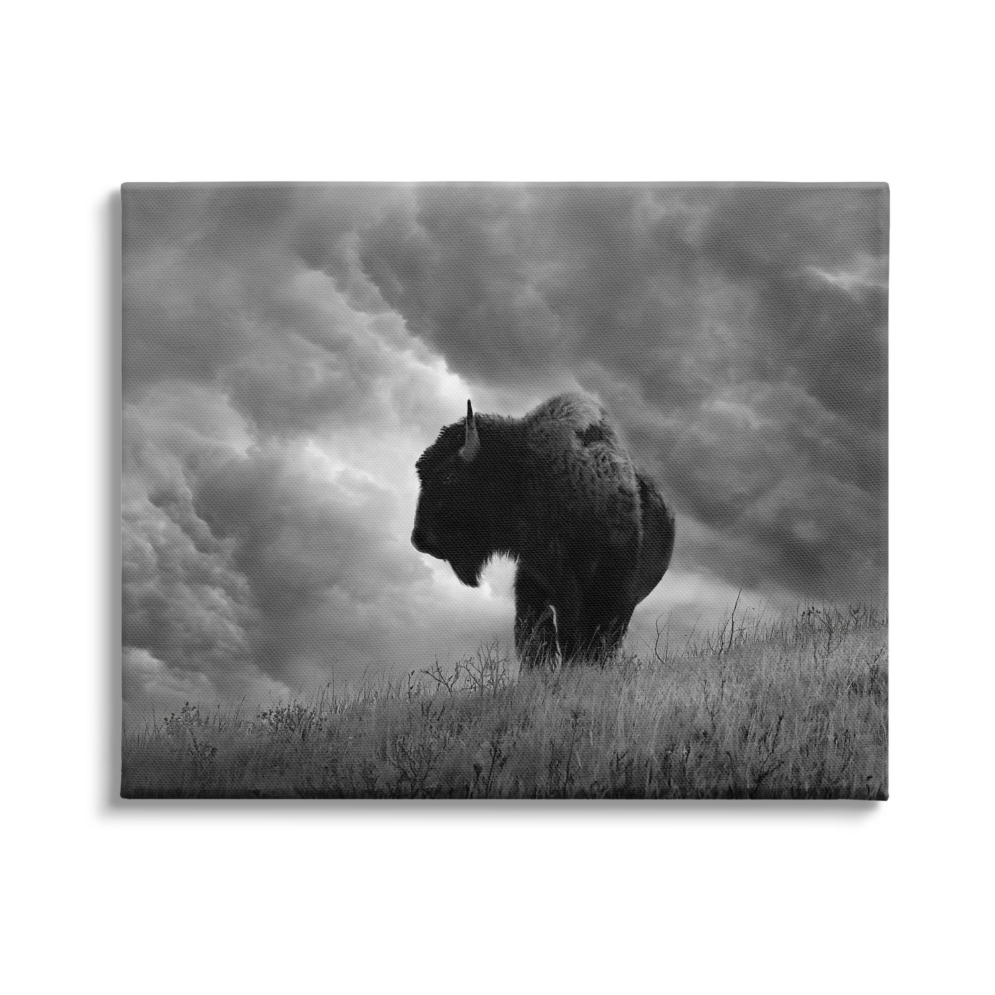 Stupell Industries Ox In Cloudy Landscape by Steve Toole Print | Wayfair
