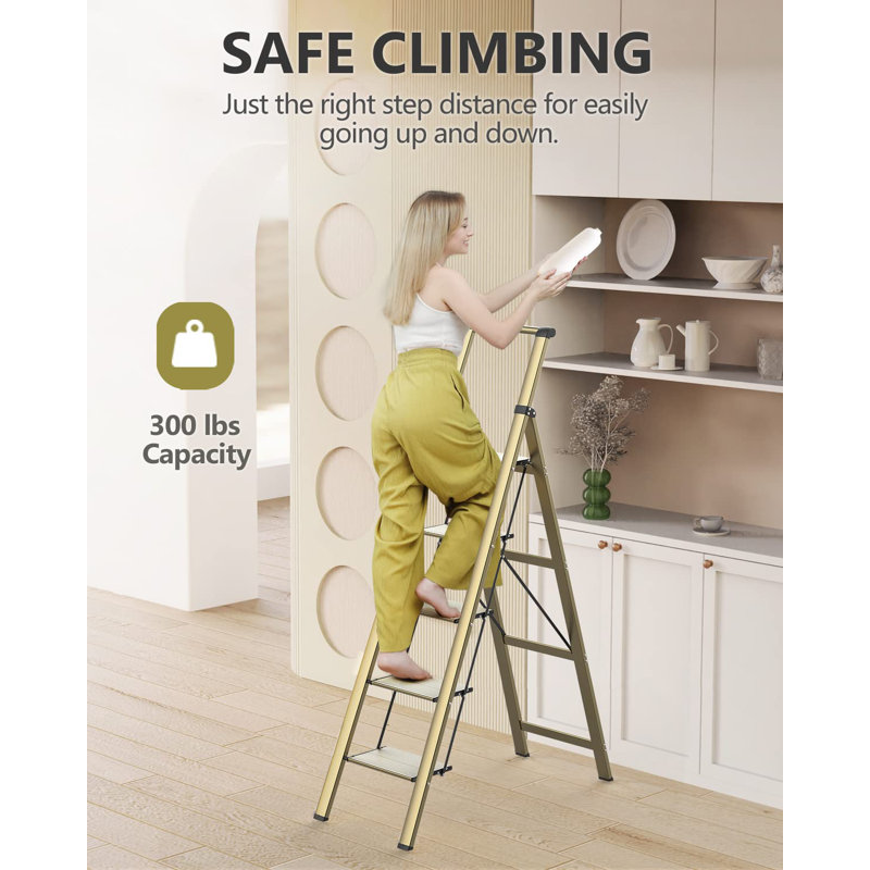 WFX Utility™ 9 - Step Aluminum Lightweight Folding Extension Ladder ...