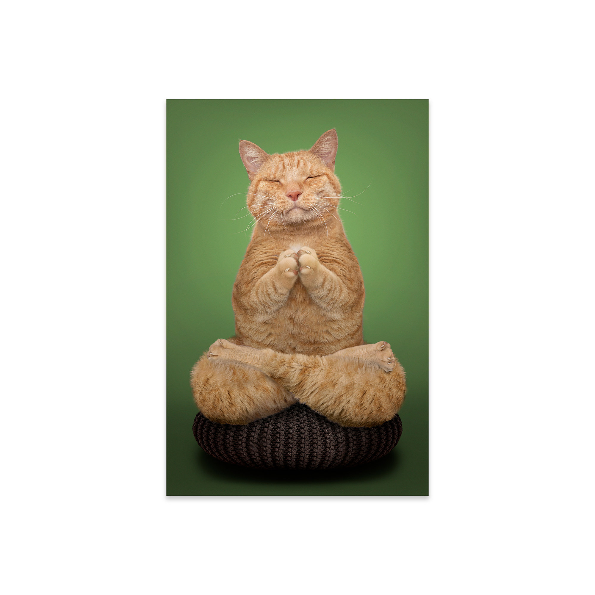 Trinx Meditating Cat On Plastic/Acrylic by Lund Roeser Painting | Wayfair