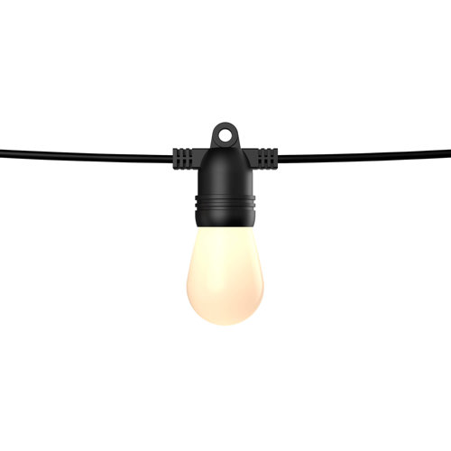 Outdoor String Lights You'll Love | Wayfair