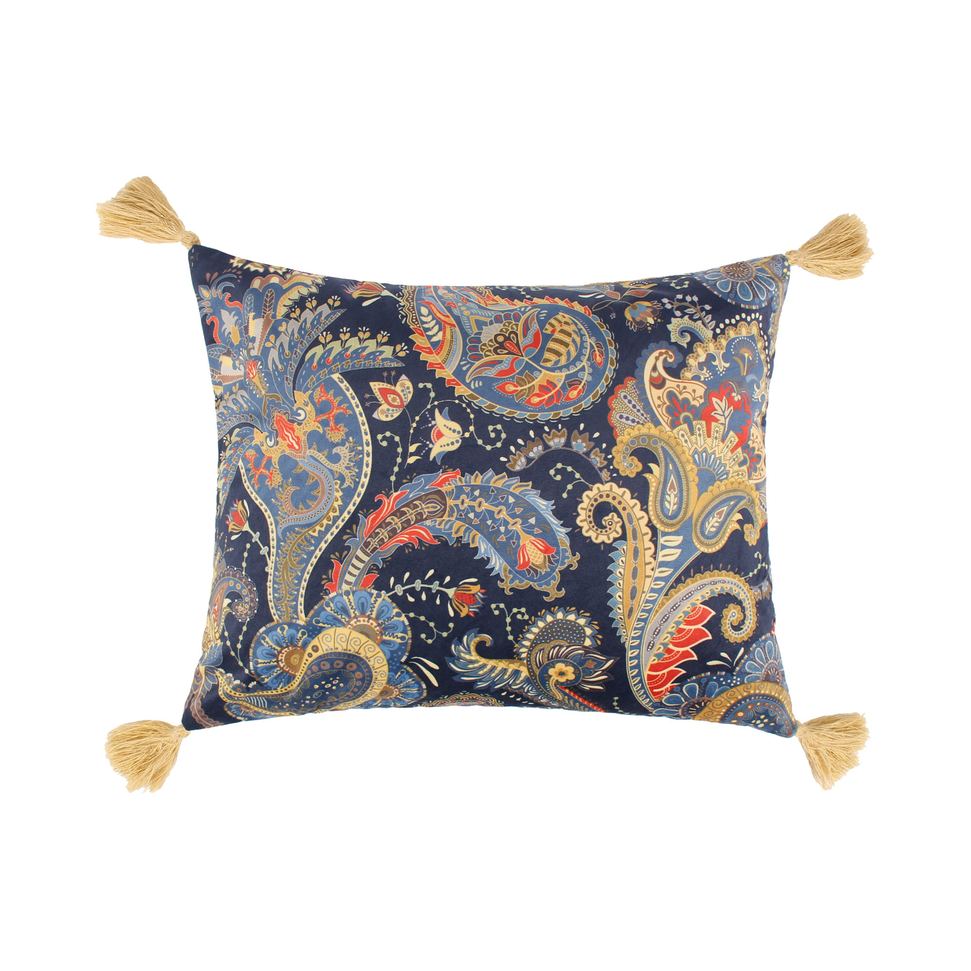 Levtex home Calabria Pasileys Tasssel Pillow | Wayfair