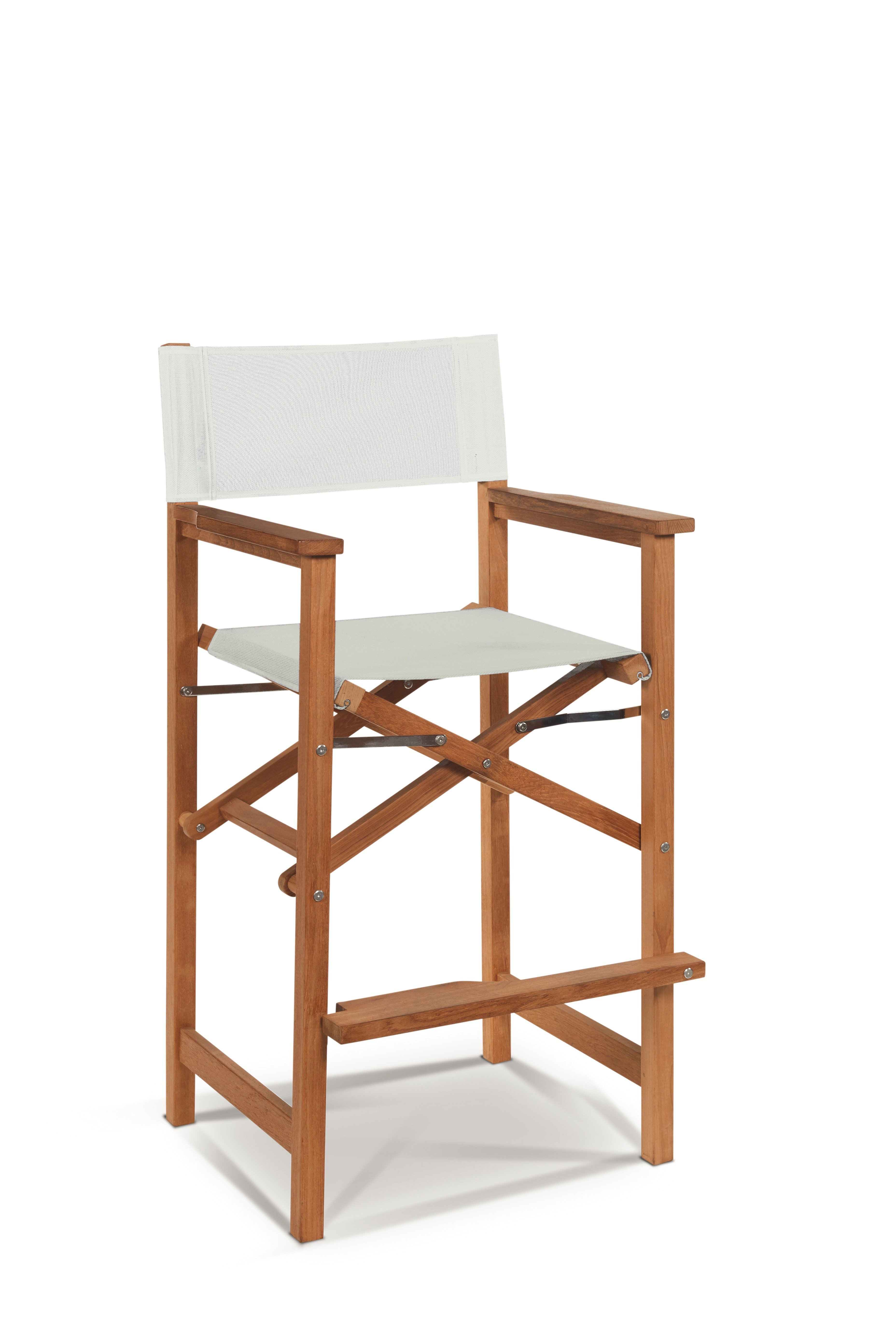 Rosecliff Heights Crider Folding Director Chair & Reviews | Wayfair