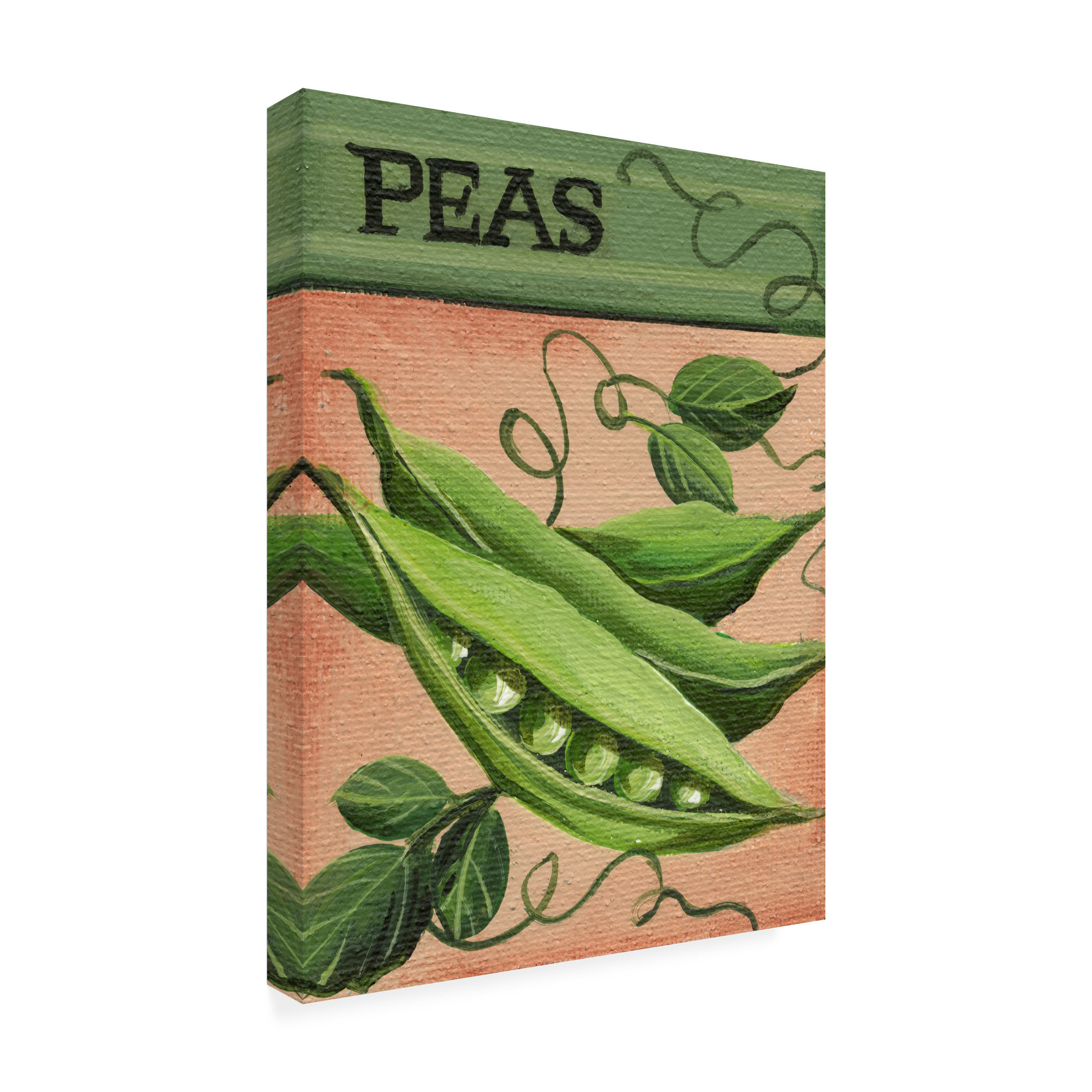 August Grove Debbi Wetzel Seed Packets 20 - Peas Canvas Art - Wayfair ...