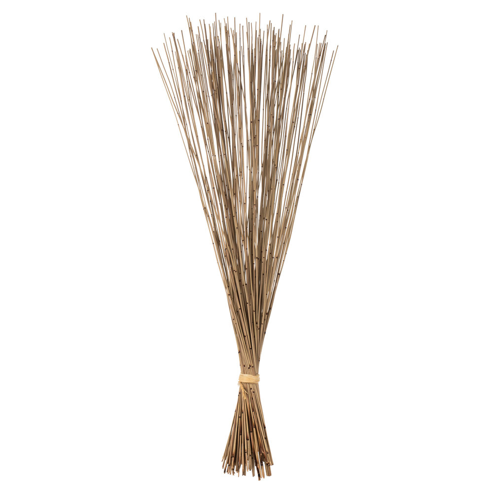 Vickerman Faux Marsh Reed Plant Preserved | Perigold