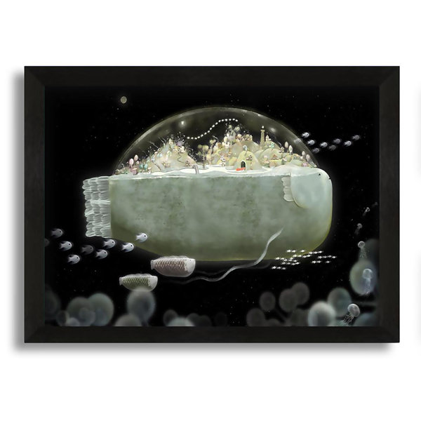 Happy Larry The Fish Kingdom - Picture Frame Graphic Art on Canvas ...
