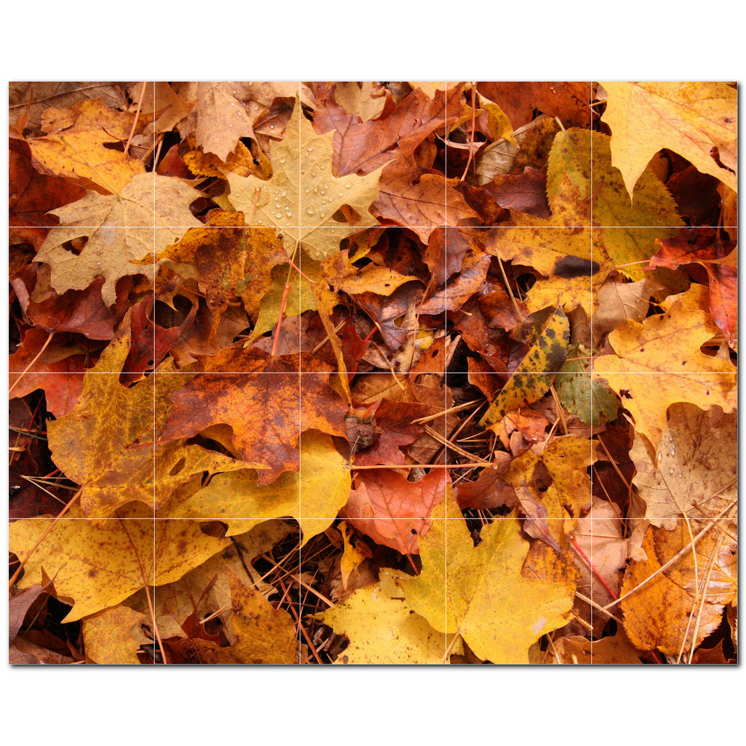 Picture-Tiles.com 40" x 32" Ceramic Autumn Photo Decorative Mural Tile ...