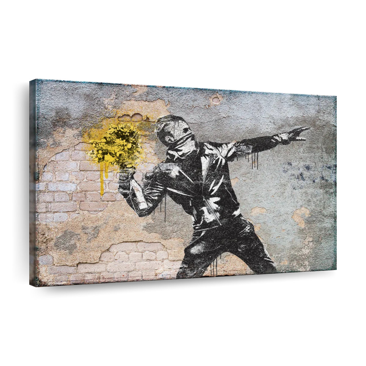 Winston Porter Flower Thrower On Canvas Print | Wayfair