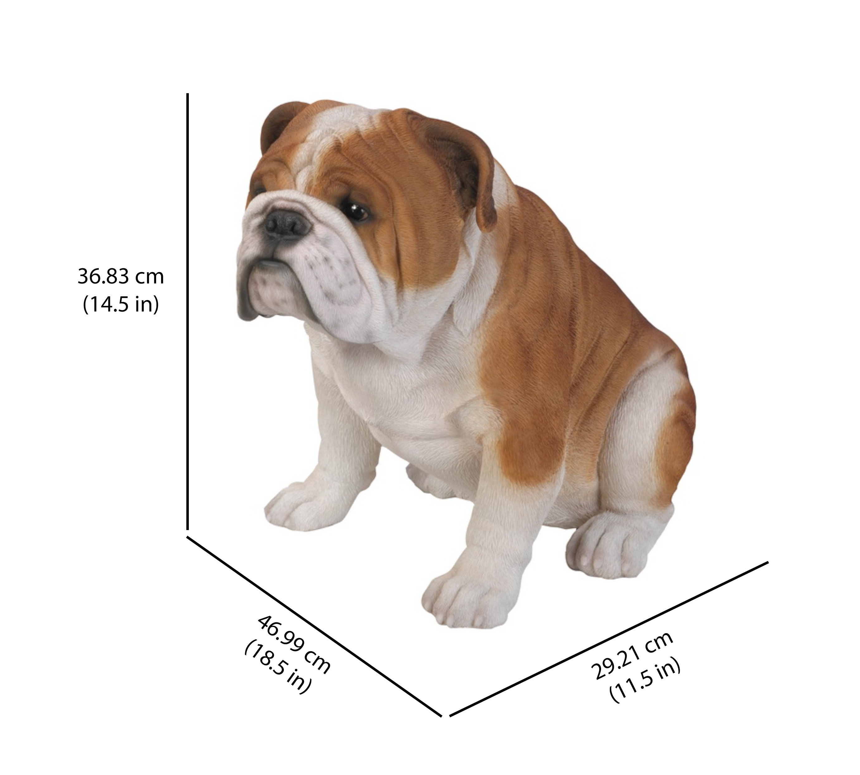 Hi-Line Gift Ltd. Dog Bulldog Statue & Reviews | Wayfair