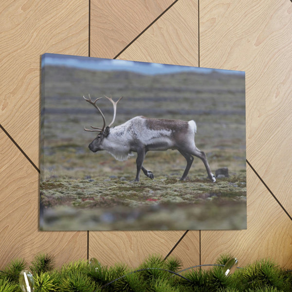 Millwood Pines Caribou Hunting Caribou on Hunt Print Animal Wall Art ...