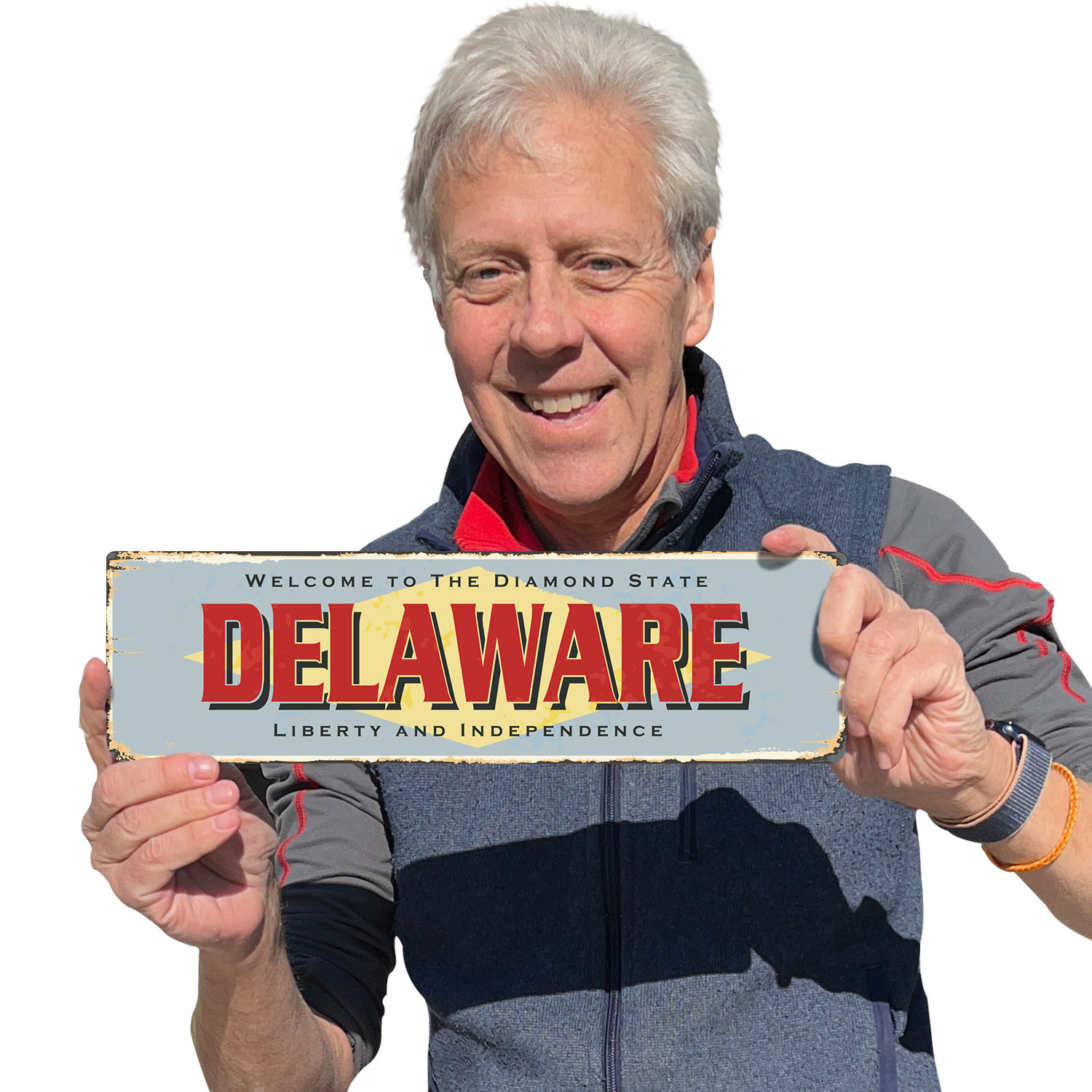 SmartSign Vintage Delaware State Sign | Wayfair
