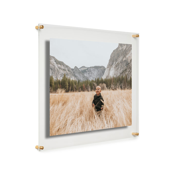 Cool Modern Frames Picture Frame - Set of 2 & Reviews | Wayfair