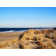 Buy Art For Less " Cape Cod Beach " by Joseph Condon on Canvas | Wayfair