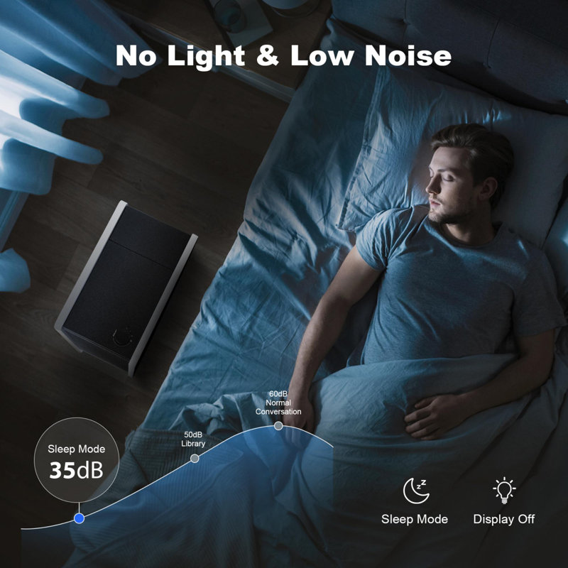 LUFTRUM True HEPA Filter Air Purifier Air Cleaner Remove Allergies ...