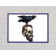 Happy Larry Crow on the Head of a Skull - Single Picture Frame Art ...
