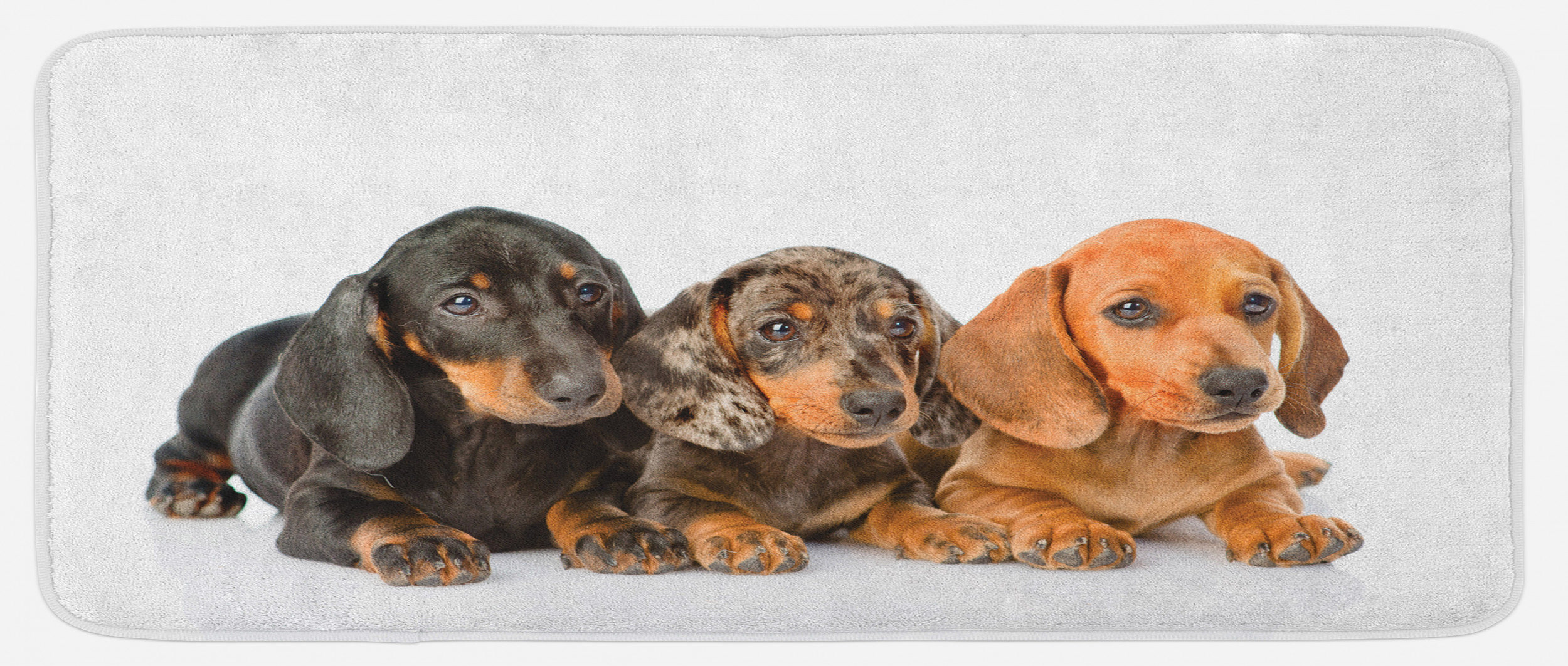 East Urban Home Dachshund Kitchen Mat | Wayfair