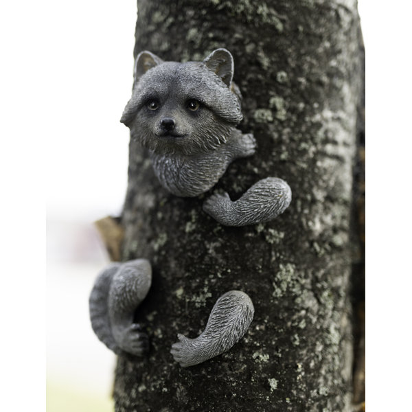 Dakota Fields Hallock Raccoon Garden Tree Peeker & Reviews | Wayfair.co.uk