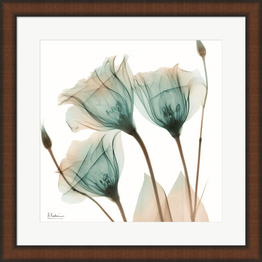 Latitude Run® Harvested Love 2 by Albert Koetsier, Framed Wall Art ...