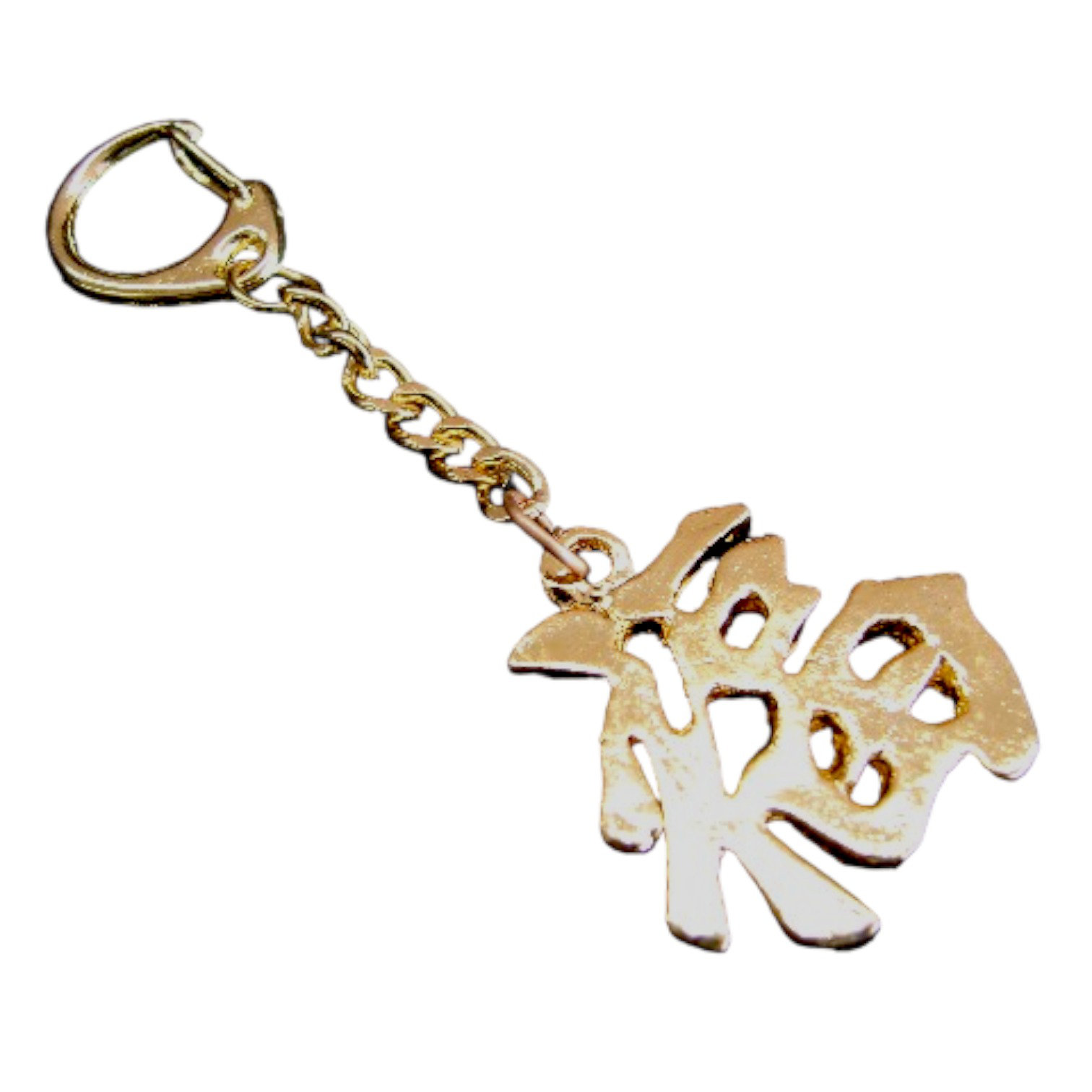 Feng Shui Import Blessing Key Chain | Wayfair