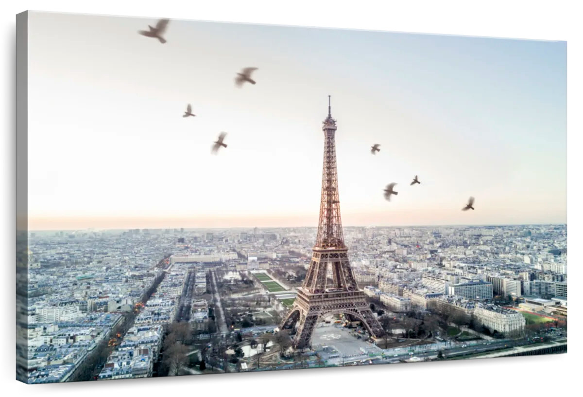 Elephant Stock Birds Flying Over Paris | Wayfair