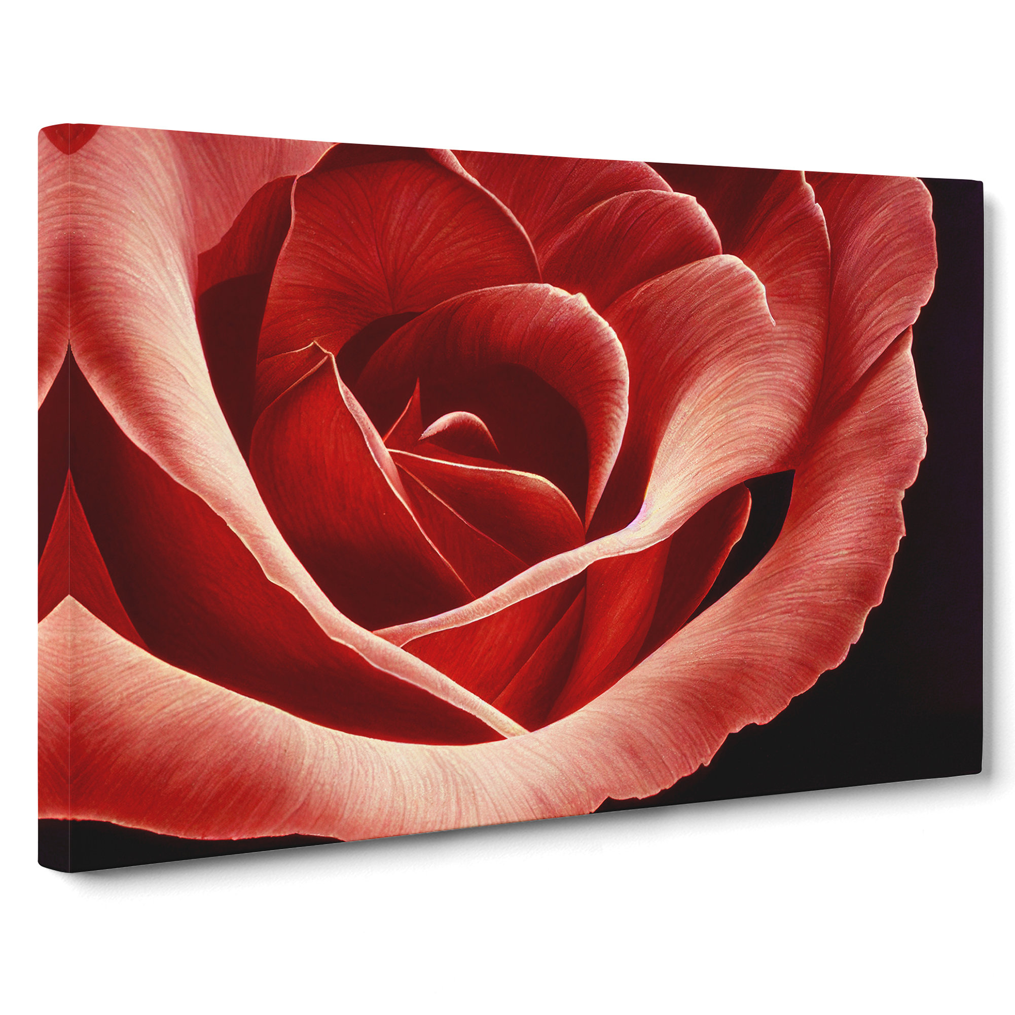 Fairmont Park Bewitching Rose Flower - Wrapped Canvas Graphic Art ...