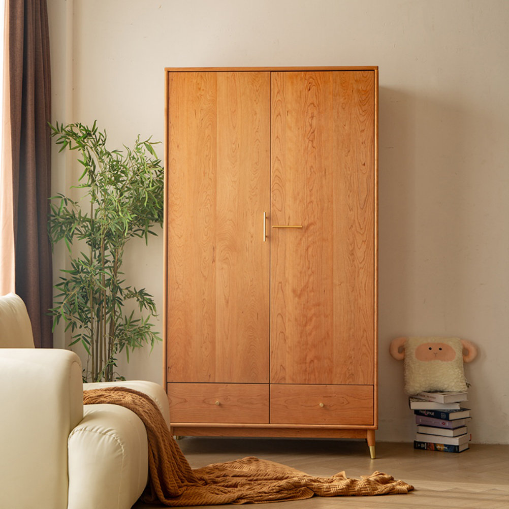 Parttlion Modern Creative Wardrobe - Wayfair Canada