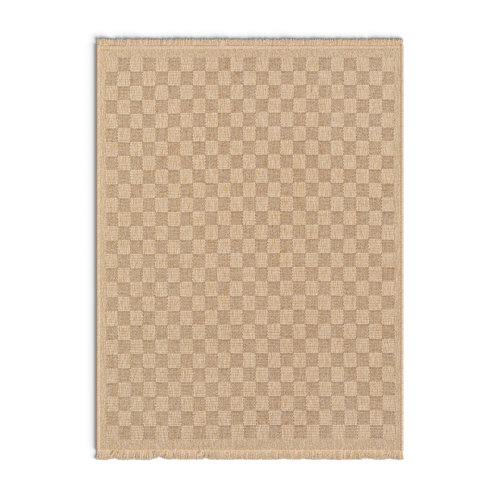 Birch Lane™ Abbie Checkered Outdoor Rug & Reviews | Wayfair