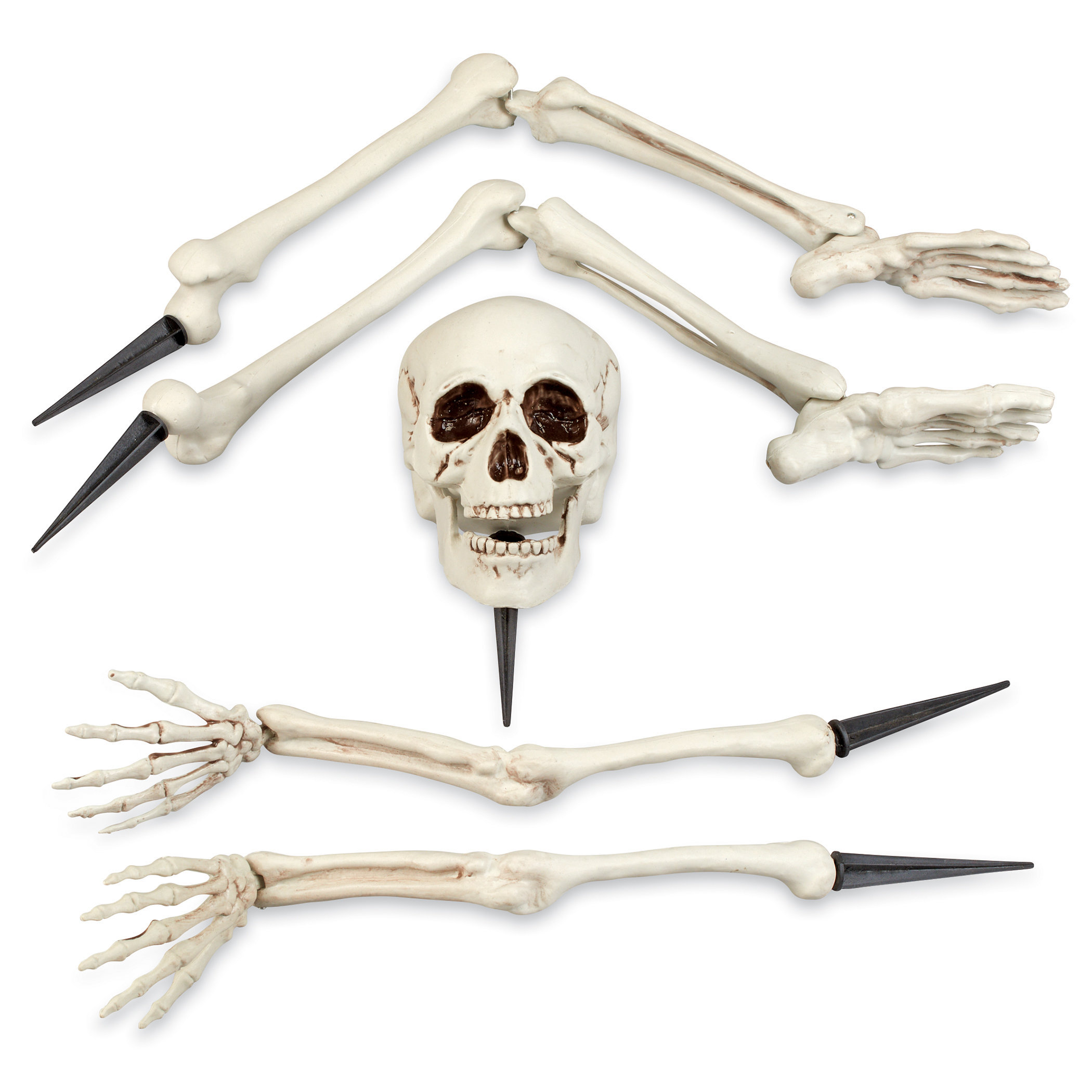 Ophelia & Co. Posable Skeleton Halloween Stakes - Set of 5 | Wayfair