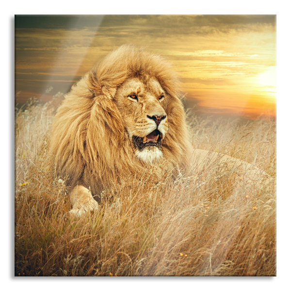 Brayden Studio Might Lion - No Frame Print on Glass | Wayfair.co.uk