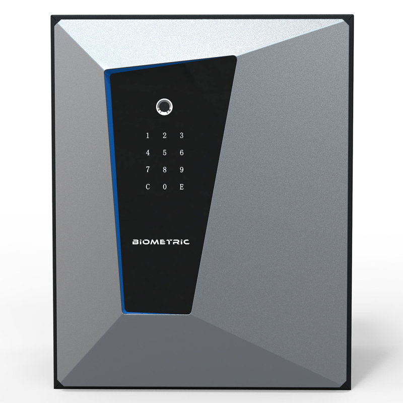 BOFON Fireproof Biometric Safe Box, Fire Safes with Fingerprint Touch ...