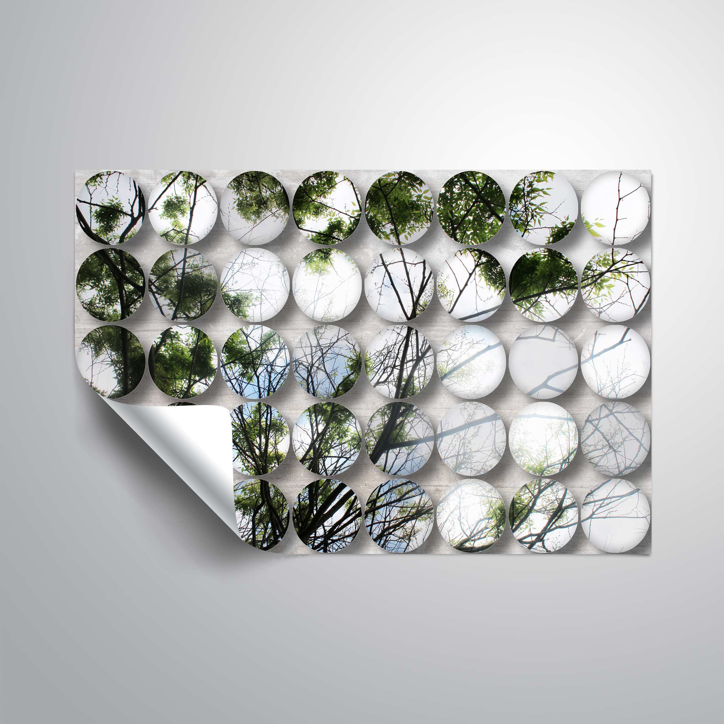 Latitude Run® Kuzay Contemporary Tree 2 Wall Mural - Wayfair Canada